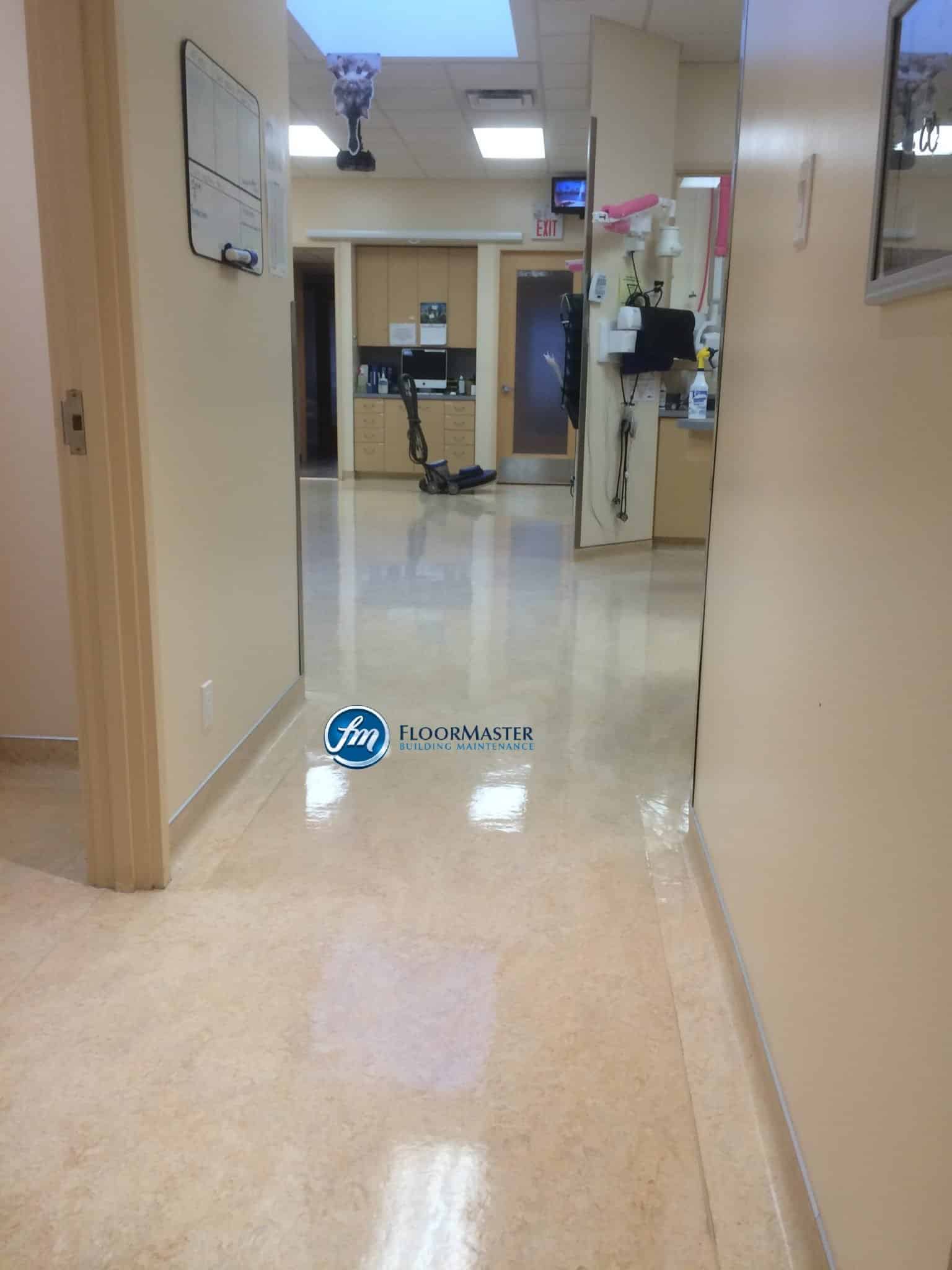 Floor burnishing and maintenance - Floor Master